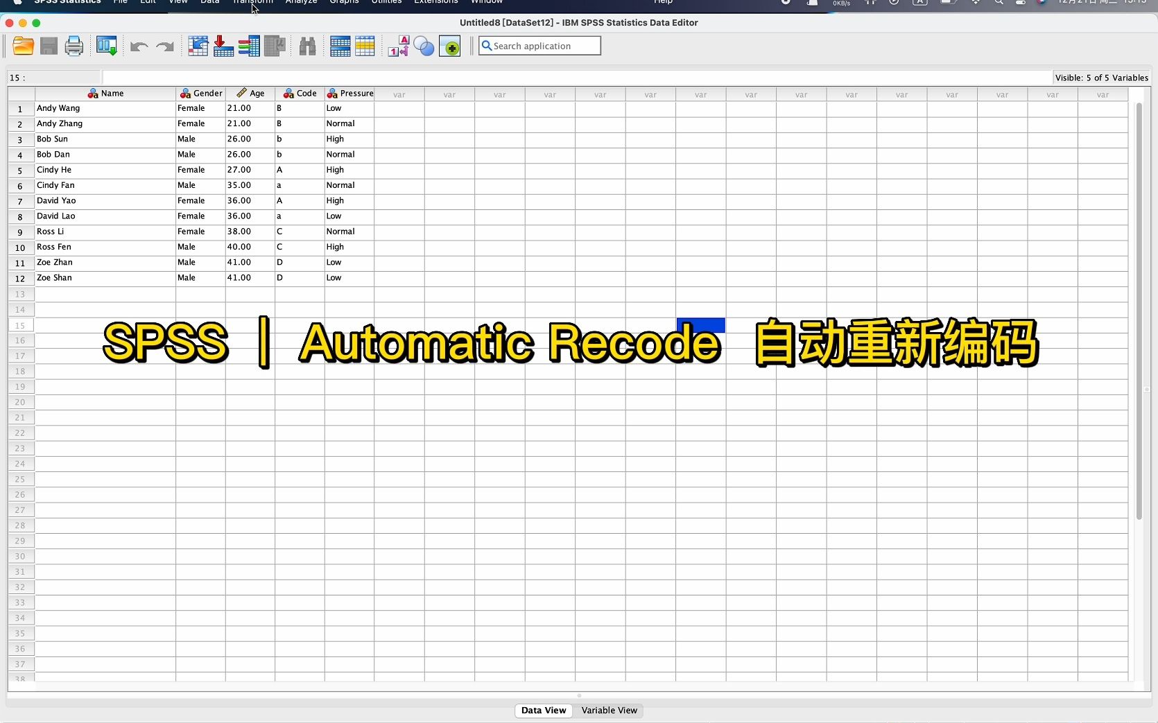 SPSS | Automatic Recode 自动重新编码