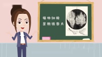 显微镜下的微观世界科普
