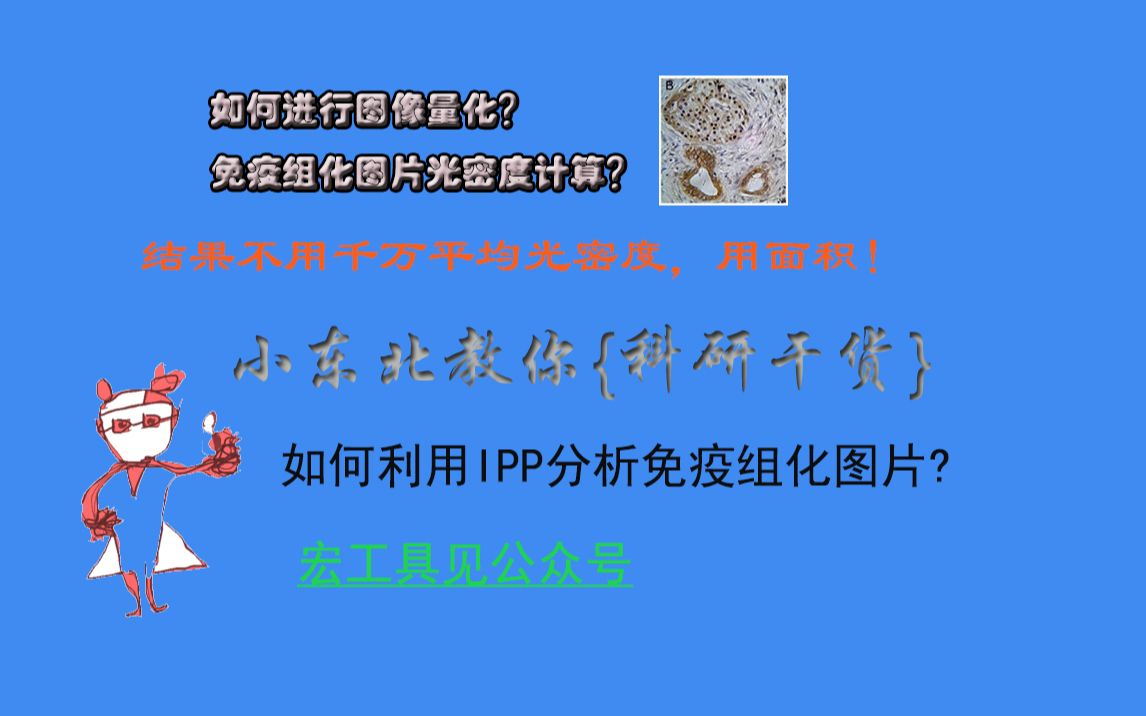 【科研干货】如何利用IPP量化免疫组化图-阳性区域面积-上