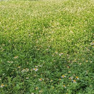 益职普法 