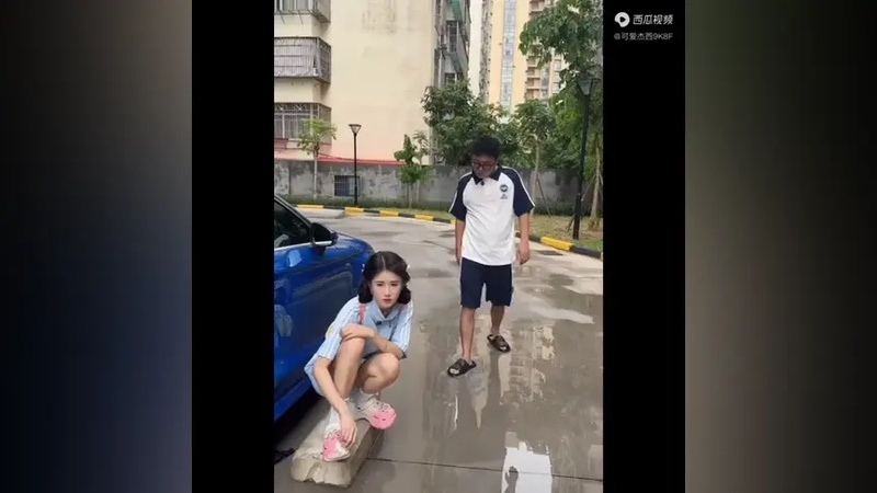 社会实践数据额
