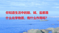 你知道生活中的酸、碱、盐都是什么化学物质, 有什么作用吗