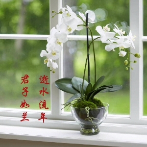 高考小语种与自学教育 