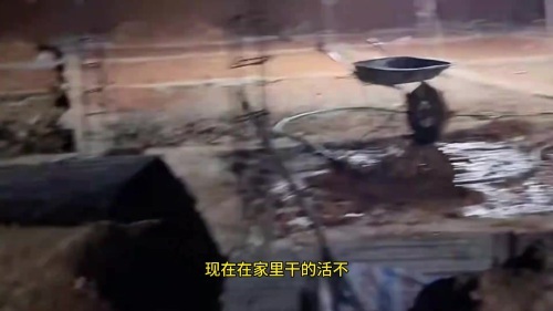 婶婶真能干,在家已把模板拆除,土已回填到位