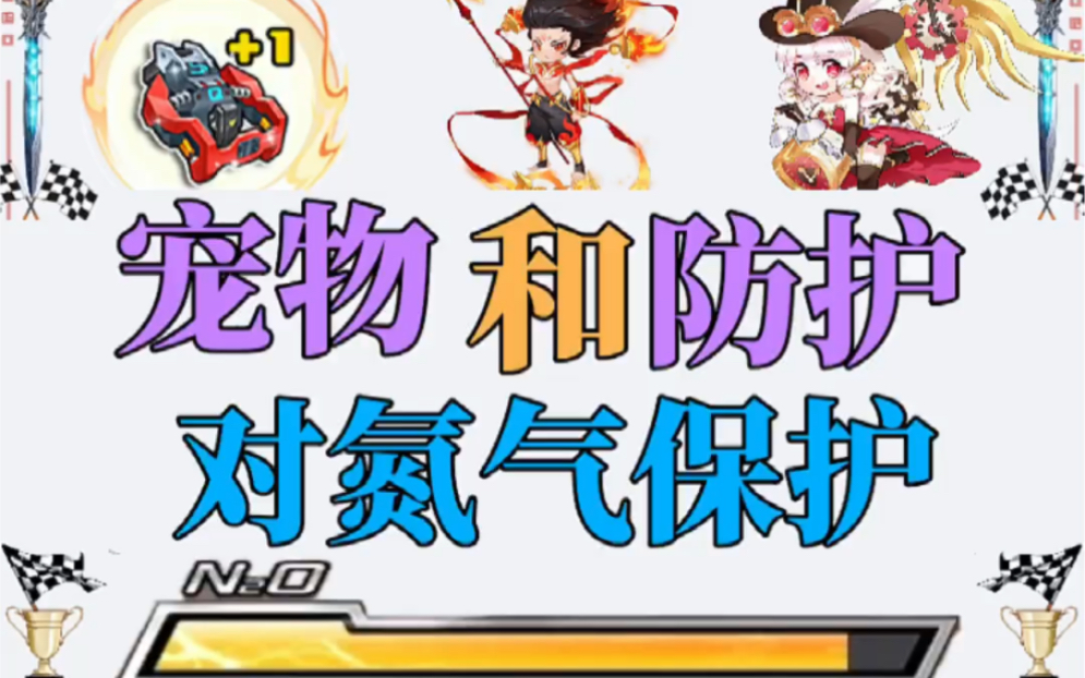 你宠物和防护对赛车氮气保护的作用!