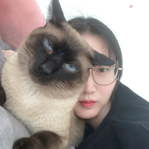 辛雨liu 