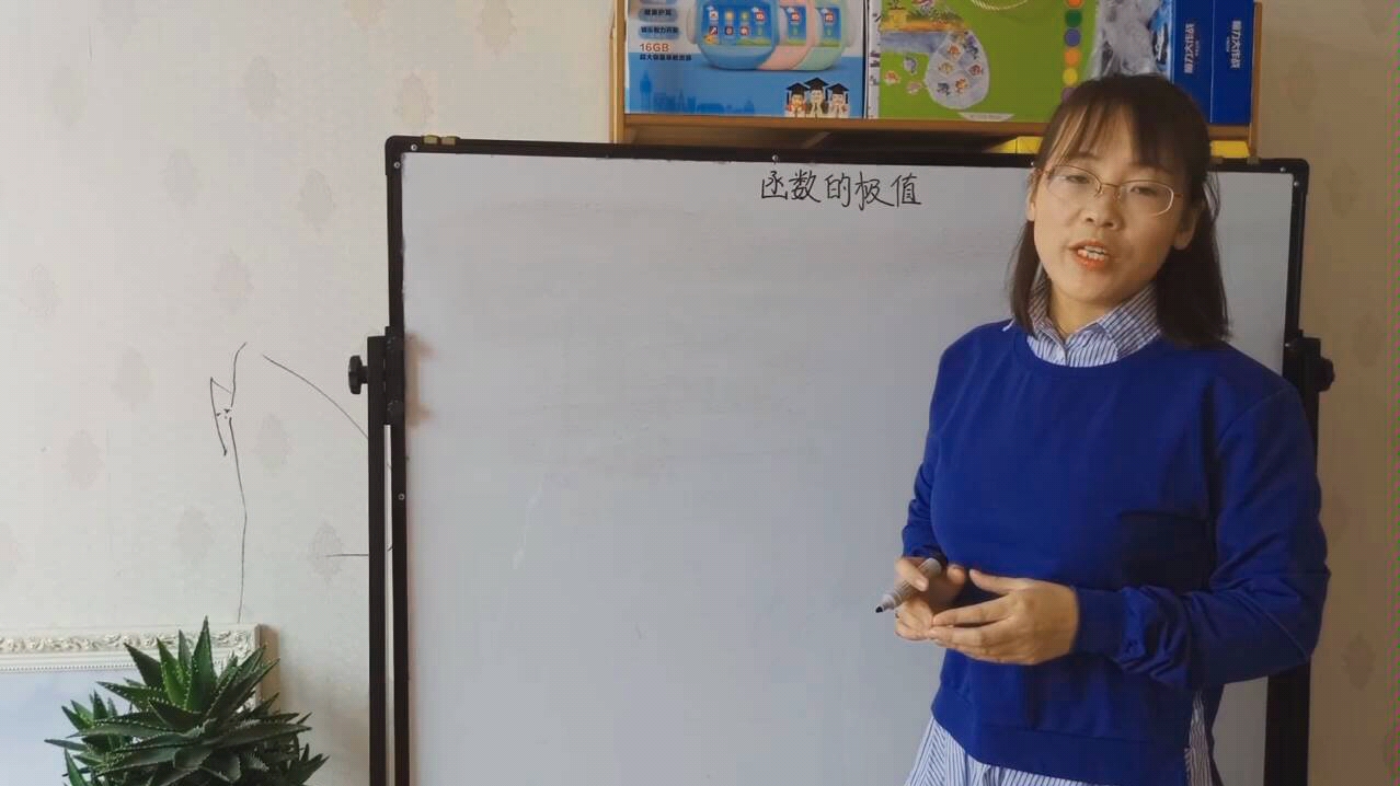 函数的极值的概念