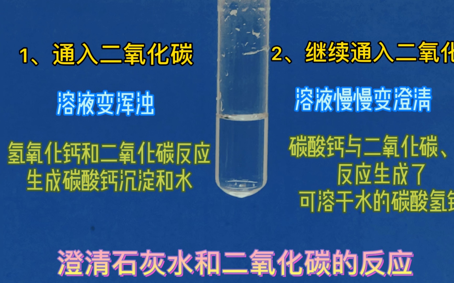 二氧化碳与澄清石灰水的反应