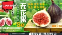 世界稻都丨天材网:生命之果无花果的功效与作用