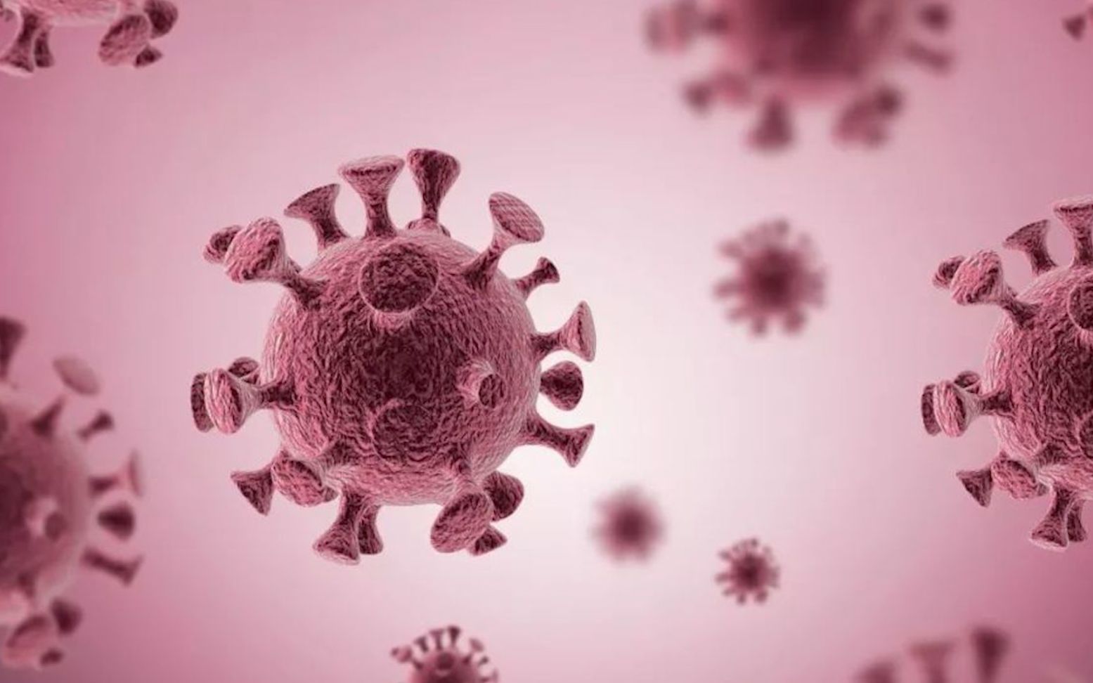 新冠病毒为何致死率高?韩媒:新冠病毒类似艾滋 击毁人体免疫细胞