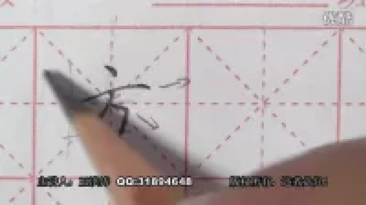 王洪涛硬笔书法教学之常用字-方