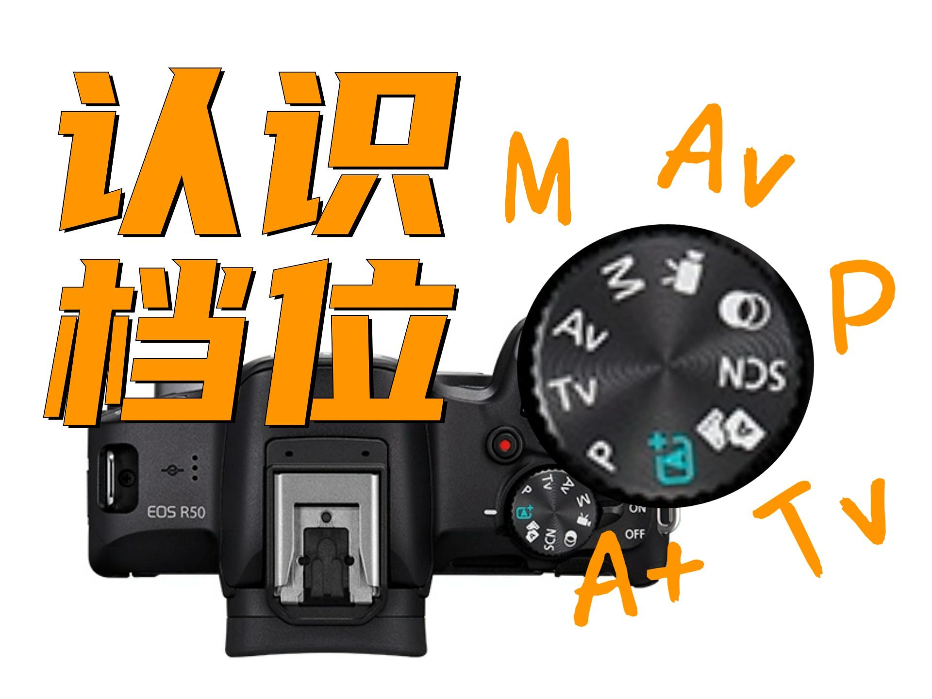 相机P、A、S、M、A+档位应用ߓ�1分钟让你瞬间明白【摄影基础...