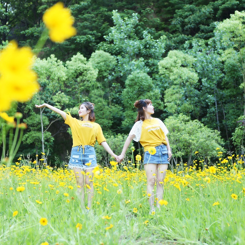 城隍庙里闹内讧