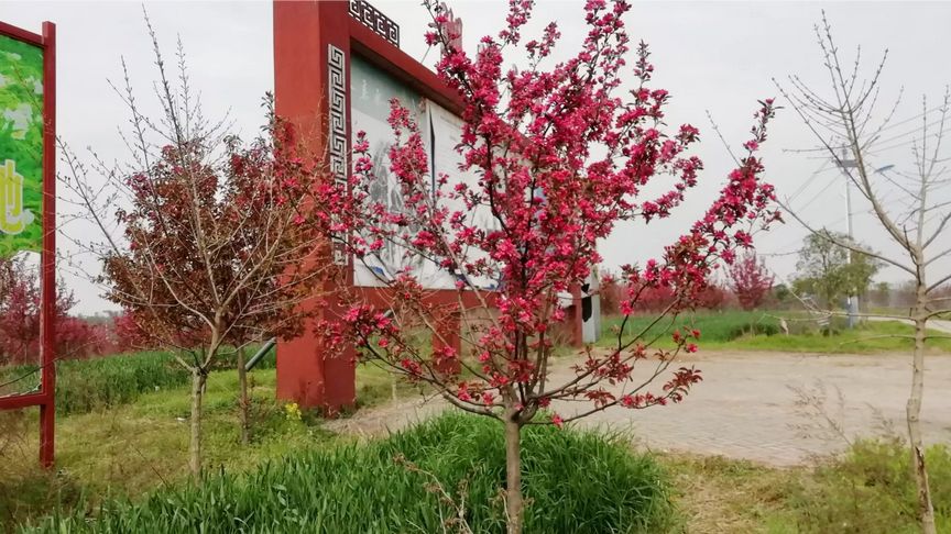企业的目标正由利益最大化转向社会效益最大化,这是新兴的潮流