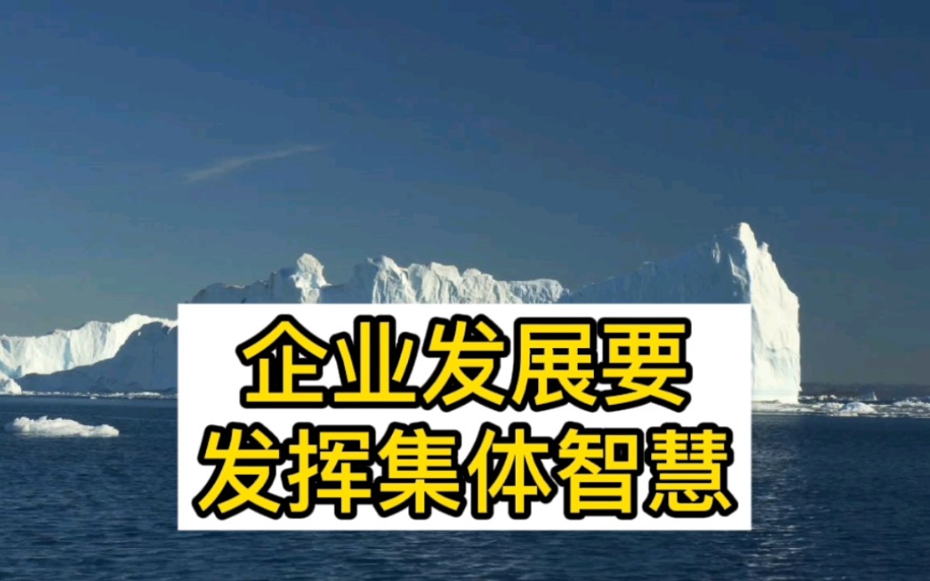 【今日打卡】企业发展要发挥集体智慧