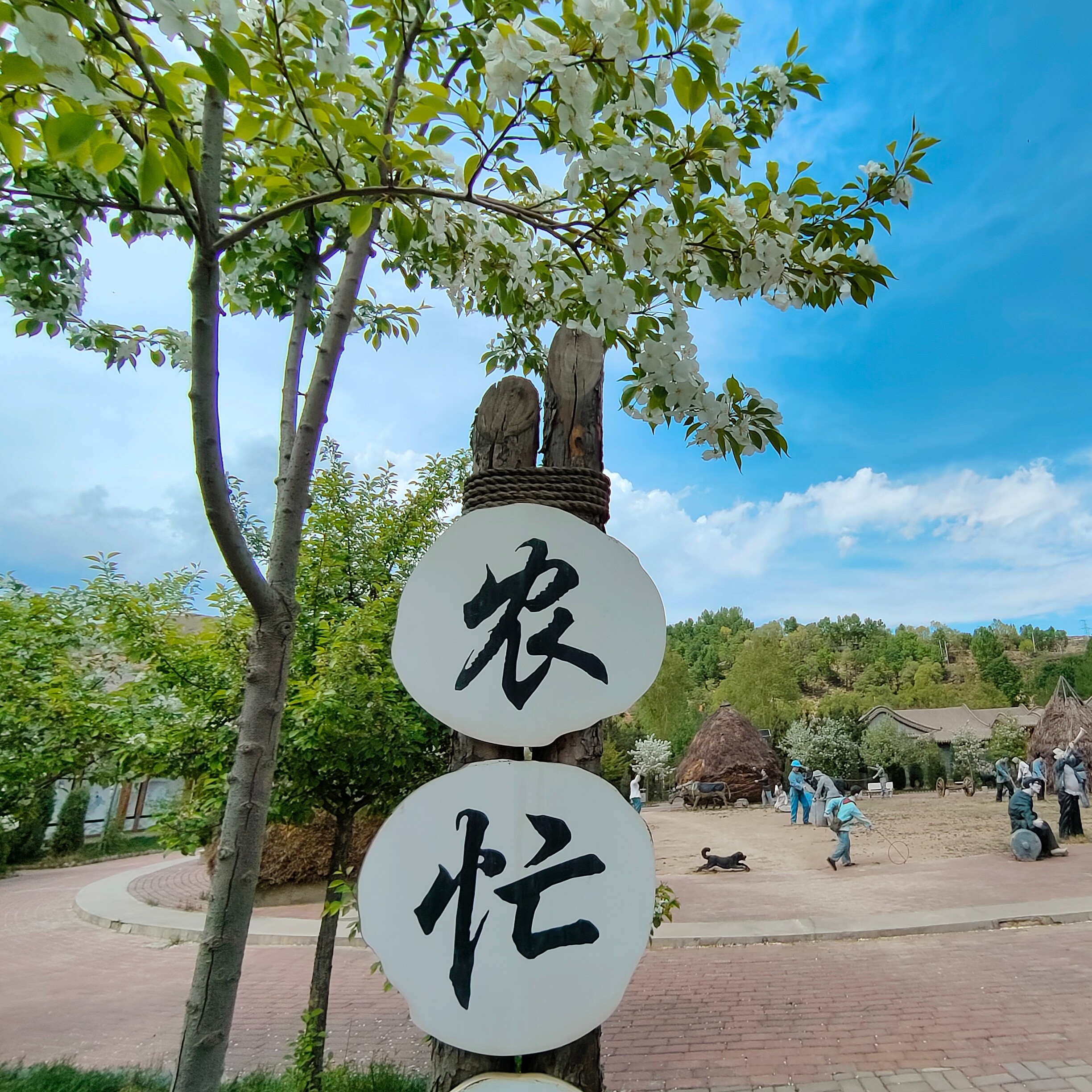 巴颜喀拉的妖风 