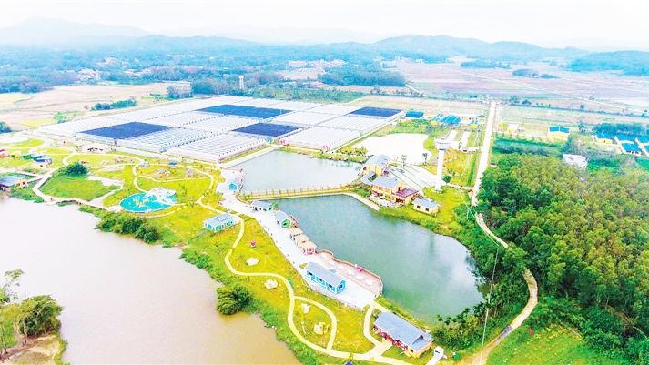 风靡日本的循环农业,中国能成功复制吗?农民:这样种地更不挣钱