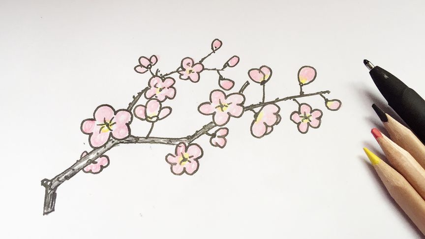 梅花简笔画,很简单的绘画1分钟学会!