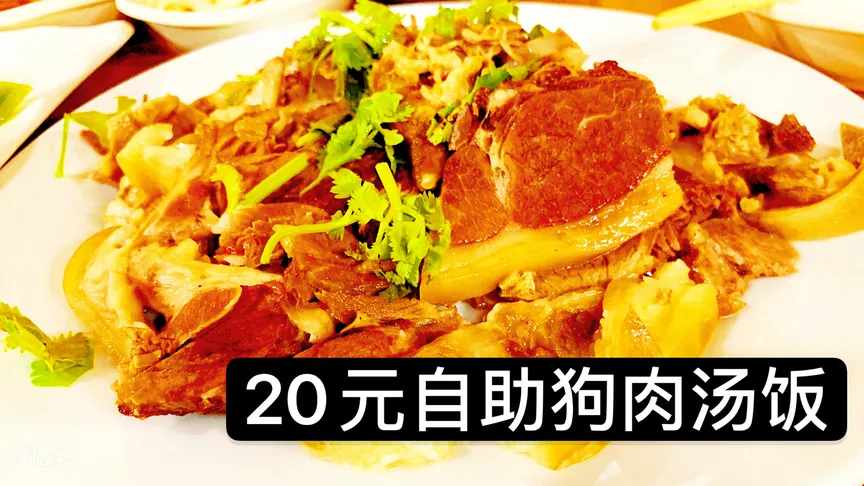 20元自助狗肉汤饭 狗肉汤米饭随便吃 再来一斤狗肉吃的真过瘾