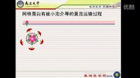 受体介导的胞吞作用(视频动画)