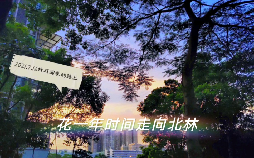 去清华隔壁的北京林业大学!