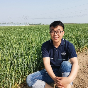 青岛小哥回乡了