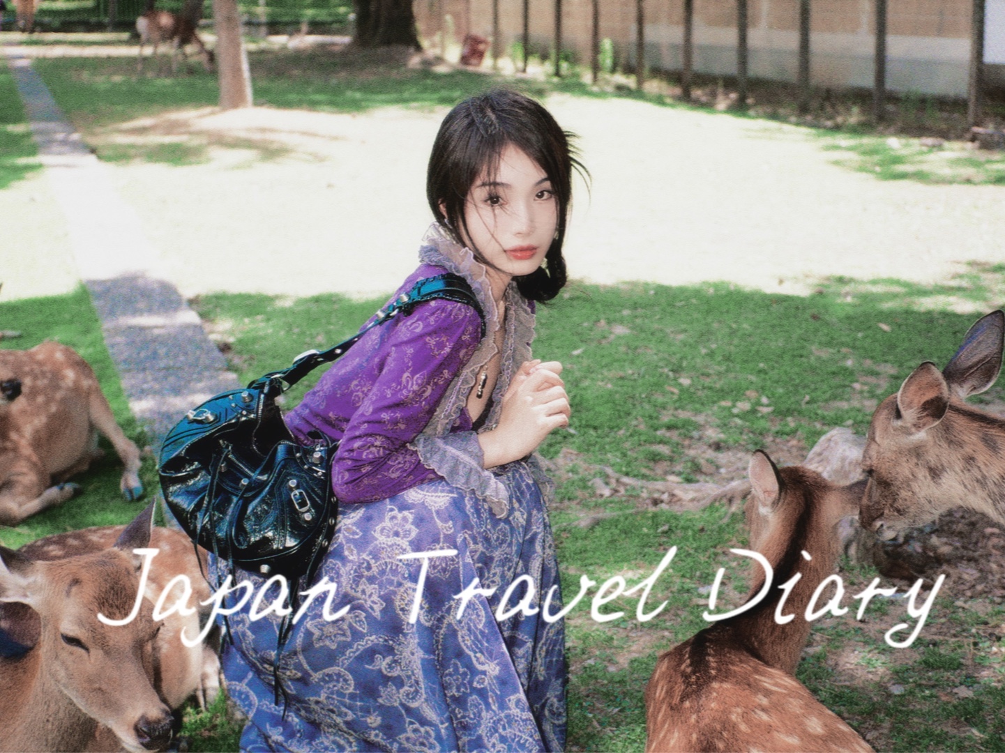 dv记录与妻旅行日本篇