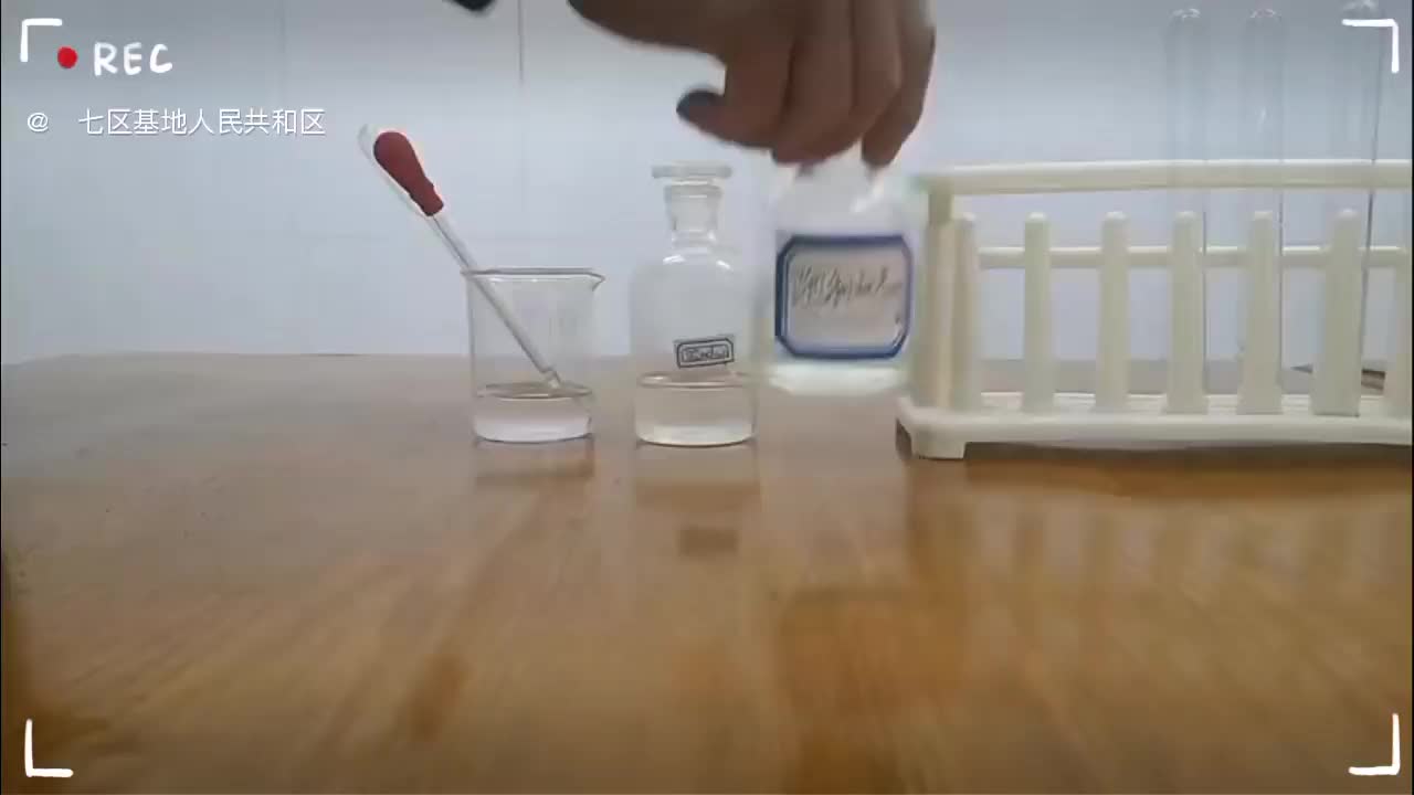向饱和的氯化钠溶液中滴加浓盐酸(溶解平衡的移动)