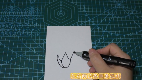 蔬菜怎么画简单又漂亮的白菜