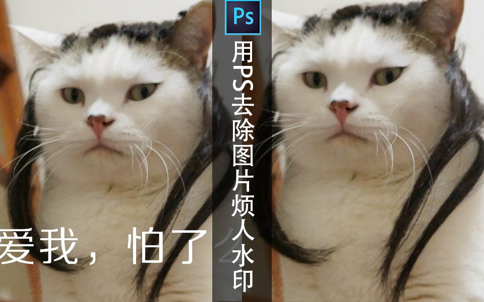 【PS小技巧】去除图片中的烦人水印