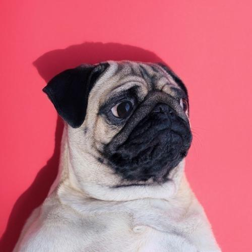 DNF60版本经典怀旧 