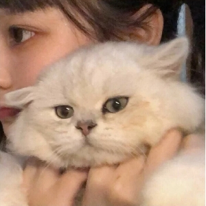 渣男一模一样 