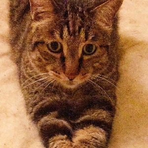 小苗littlemiaooow 