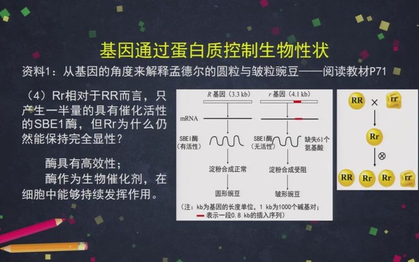 0603高一生物学(人教版)§4.2 基因表达与性状关系 第1课时-视频