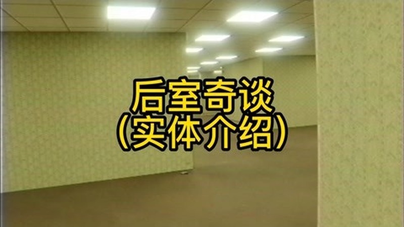后室奇谈之实体介绍