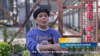萧山区住房保障和房产管理服务中心:老旧小区改造和电梯加装助力...