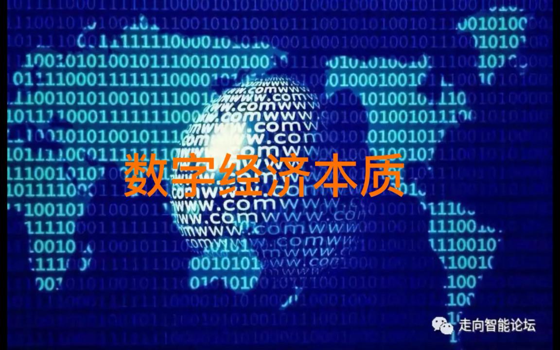 数字经济13-数字经济的本质