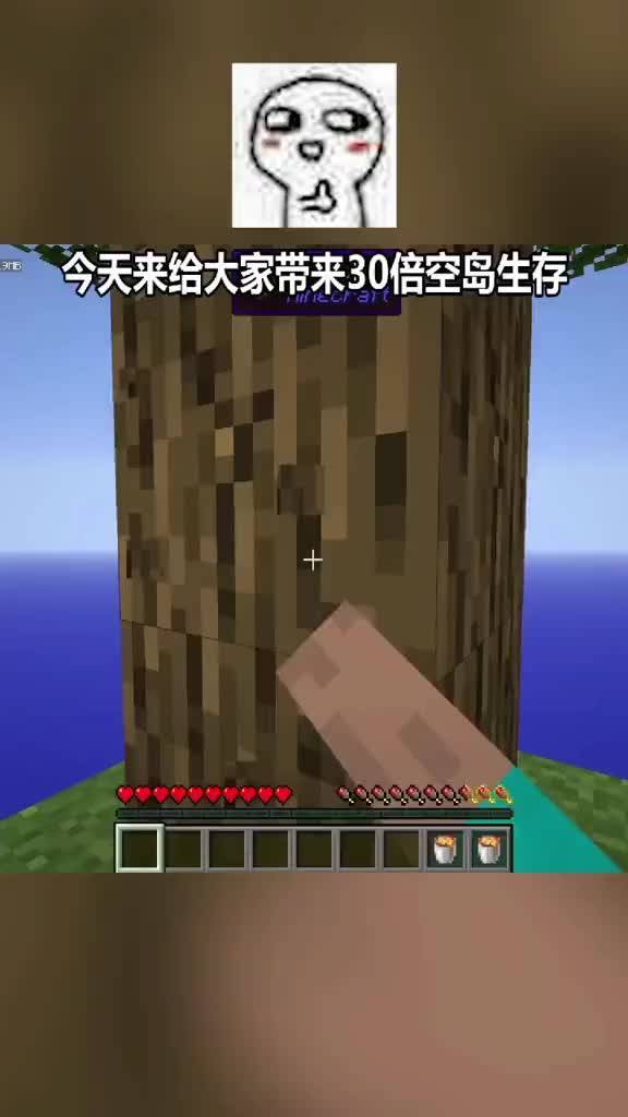 翔凯我的世界30倍空岛生存
