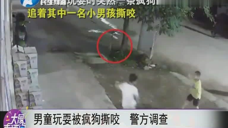 一夜之间8人被狗咬,狗主人未曾露面,案件仍在调查中