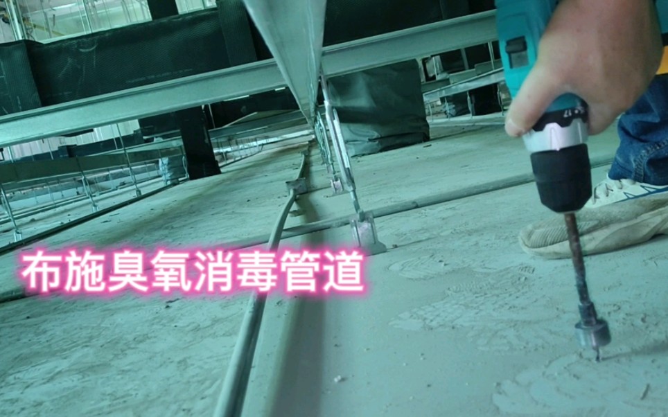 大型食品厂车间的臭氧消毒管道,安装在天花板上面,施工确保安全