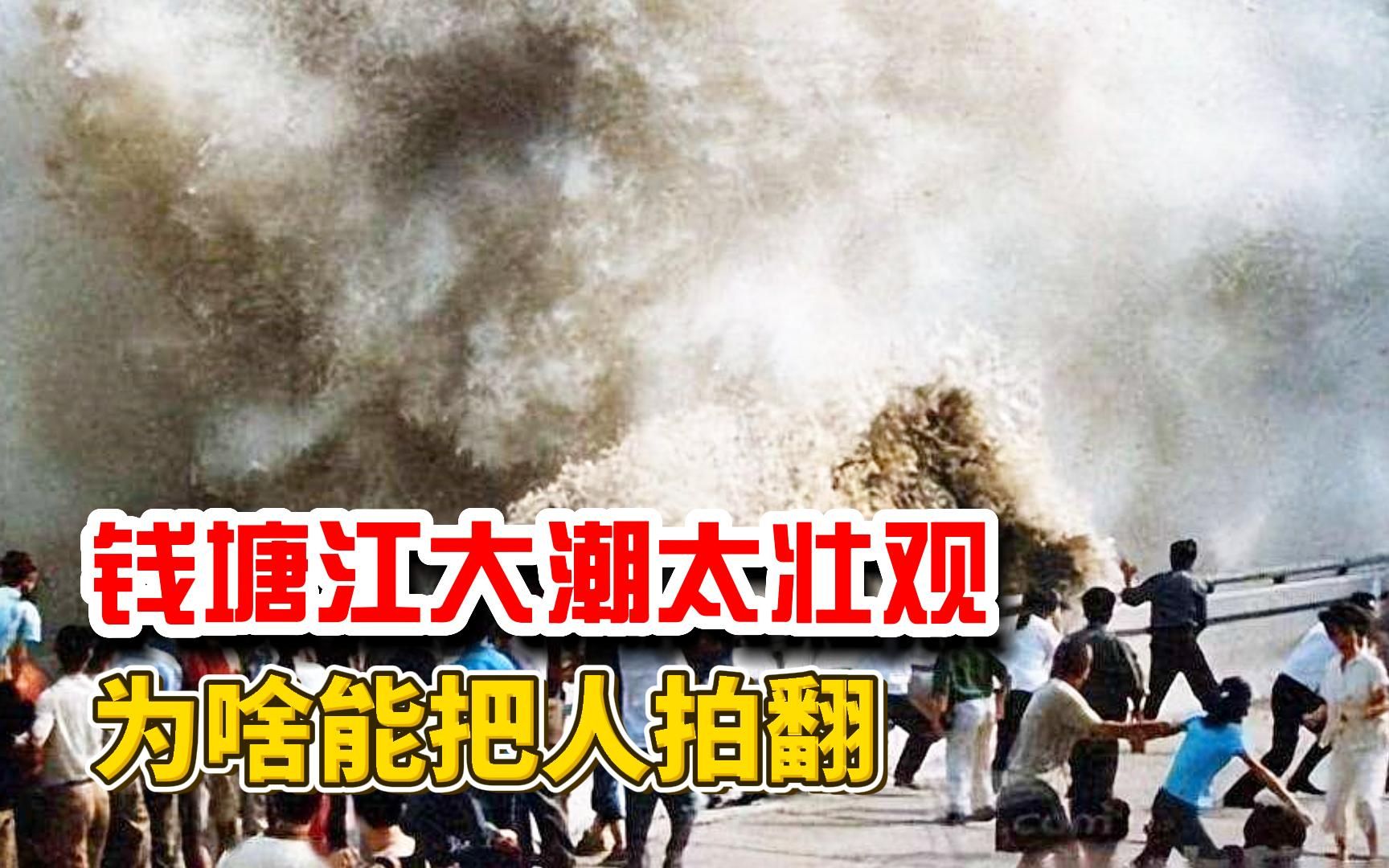 钱塘江大潮太壮观!直接把人群拍翻?为啥这么猛