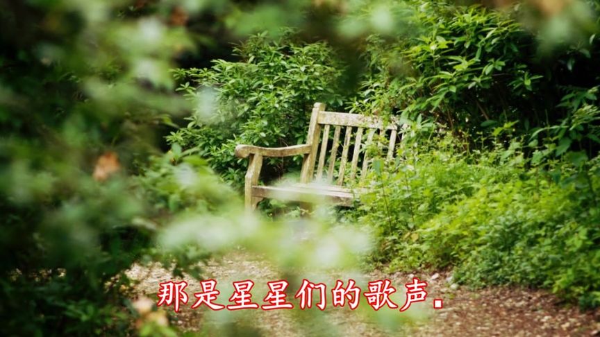 心是一棵树独木不成林 树与树既独立相联,心与心既相异又相亲