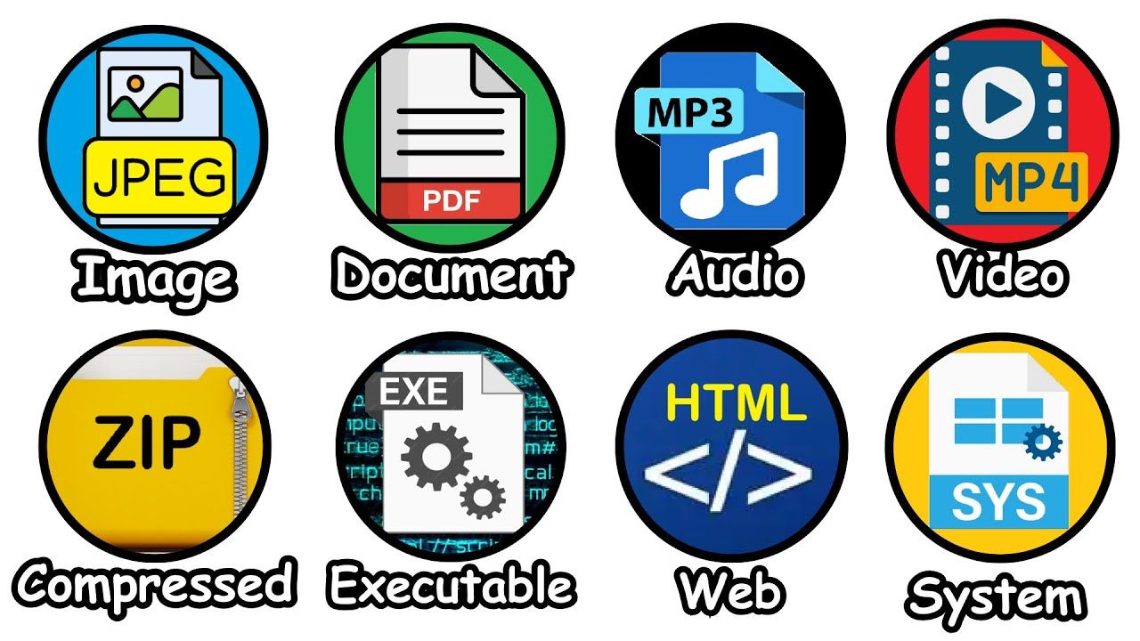 【熟肉】16分钟讲解各种文件格式