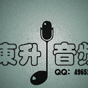 东升音频 