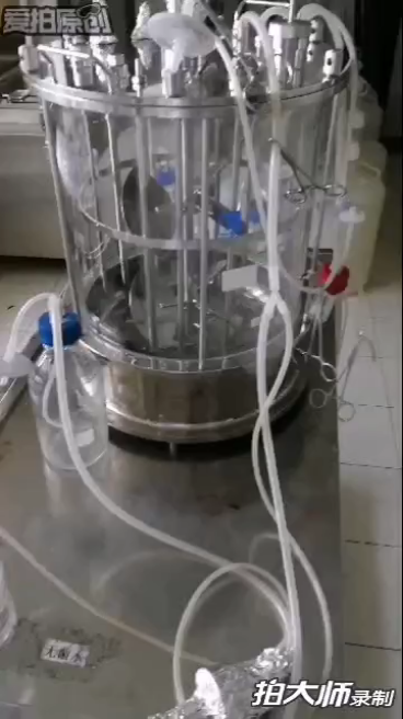 百仑40升哺乳细胞玻璃生物反应器使用前保压等培训