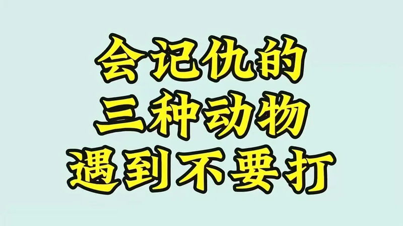 会记仇的三种动物,遇到不要打