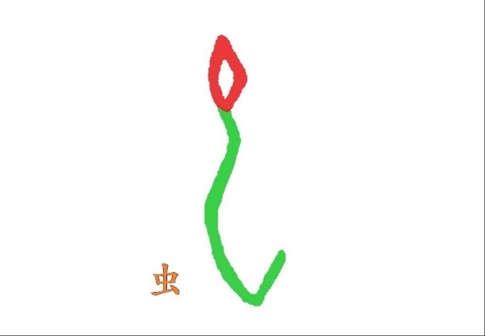 施顺生:汉字动画､甲骨文动画､12生肖:虫01(内含〝虫〞字甲、金、篆...