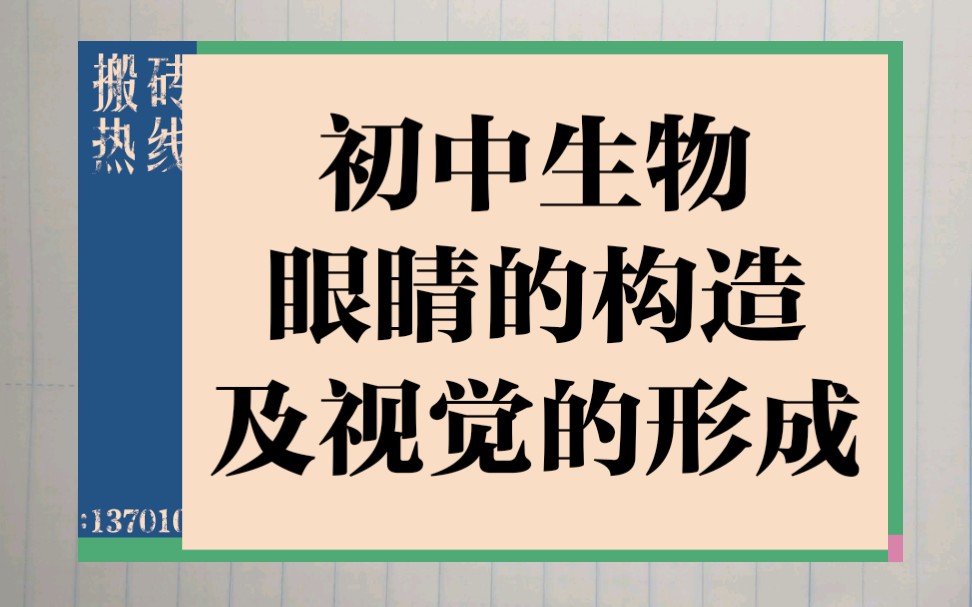 【初中生物】眼睛的构造及视觉的形成