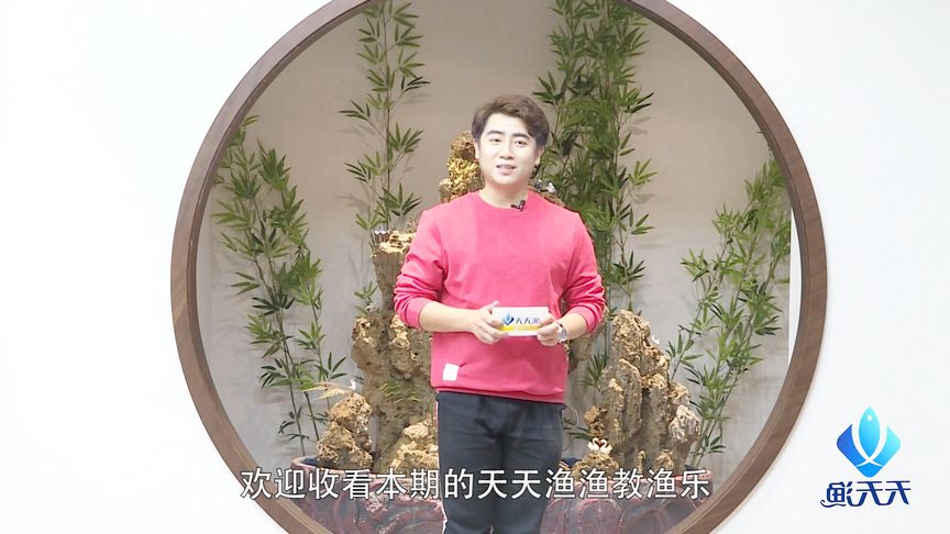 渔教渔乐第二集(手竿的长度和作用)