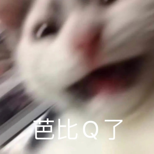 D4zi 